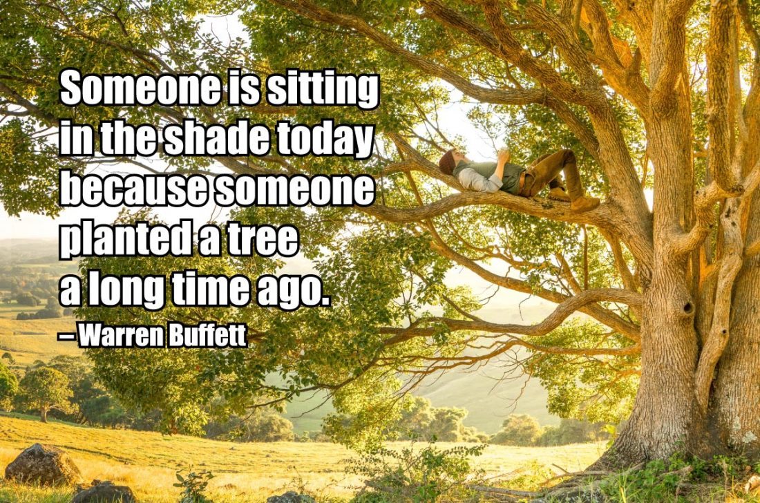 Sitting in the Shade – Northlandtowers.com